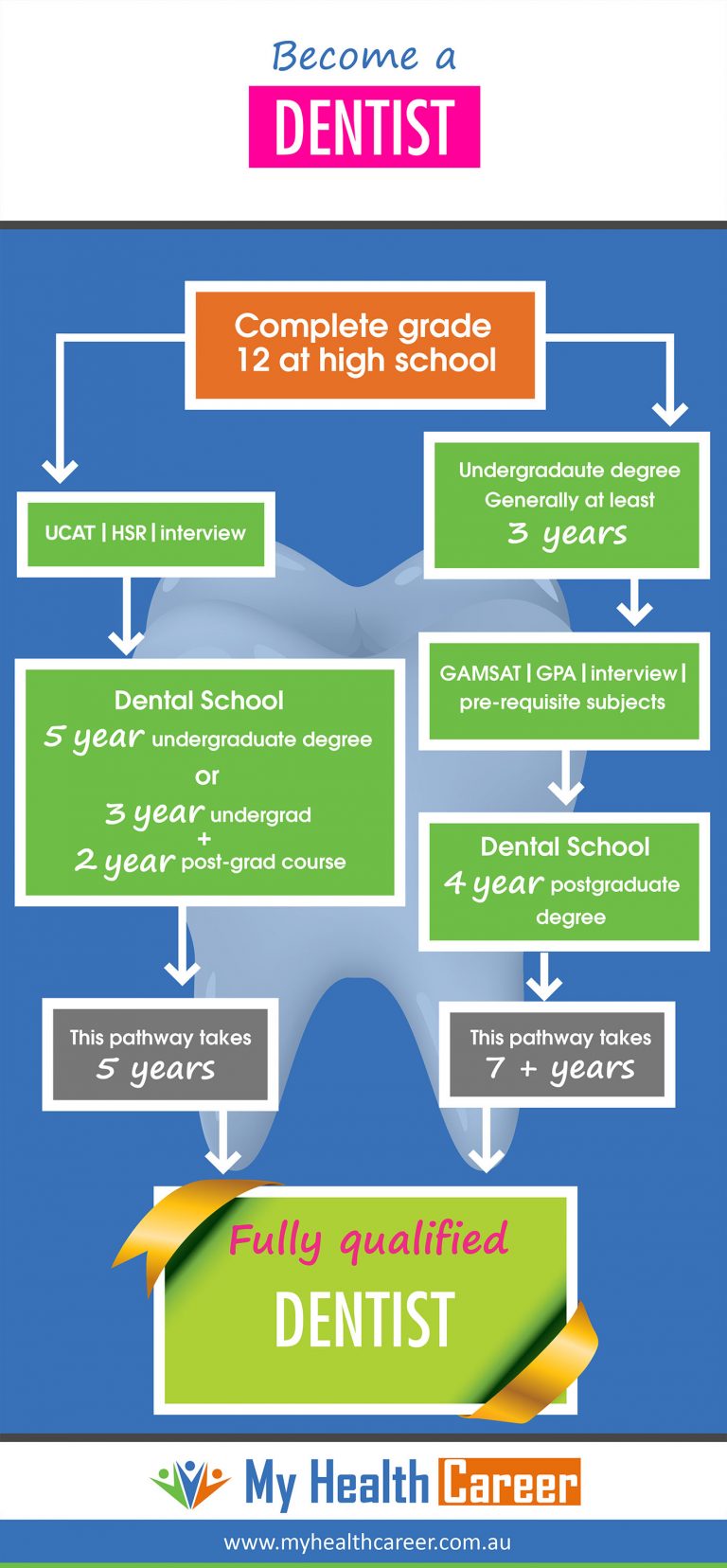 Become a dentist - My Health Career