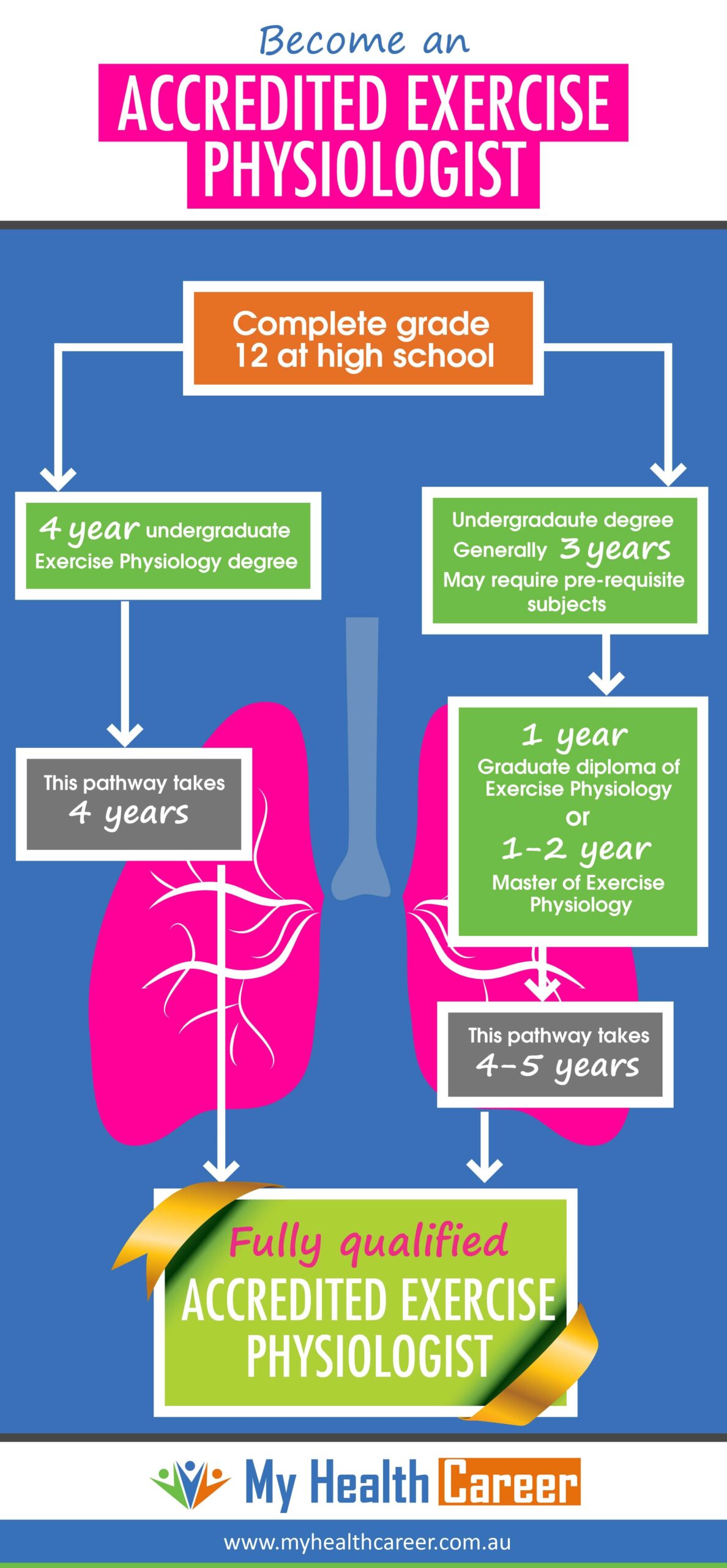 Become An Exercise Physiologist Become An Exercise Physiologist
